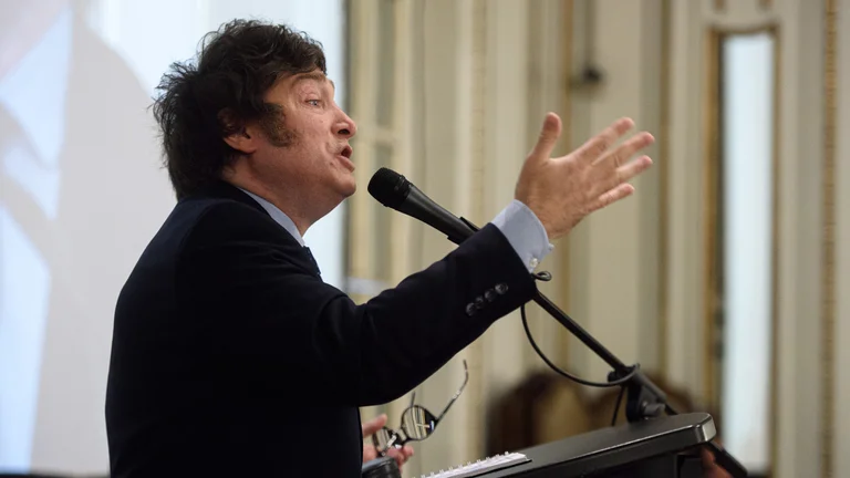 Milei: «Voy a poner de pie a este país y voy a ser el próximo ...