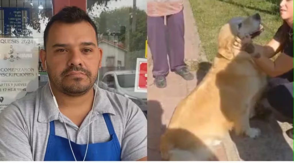 “Tiene buen pelaje”: el macabro plan de la mujer que llevó a su perro a ...